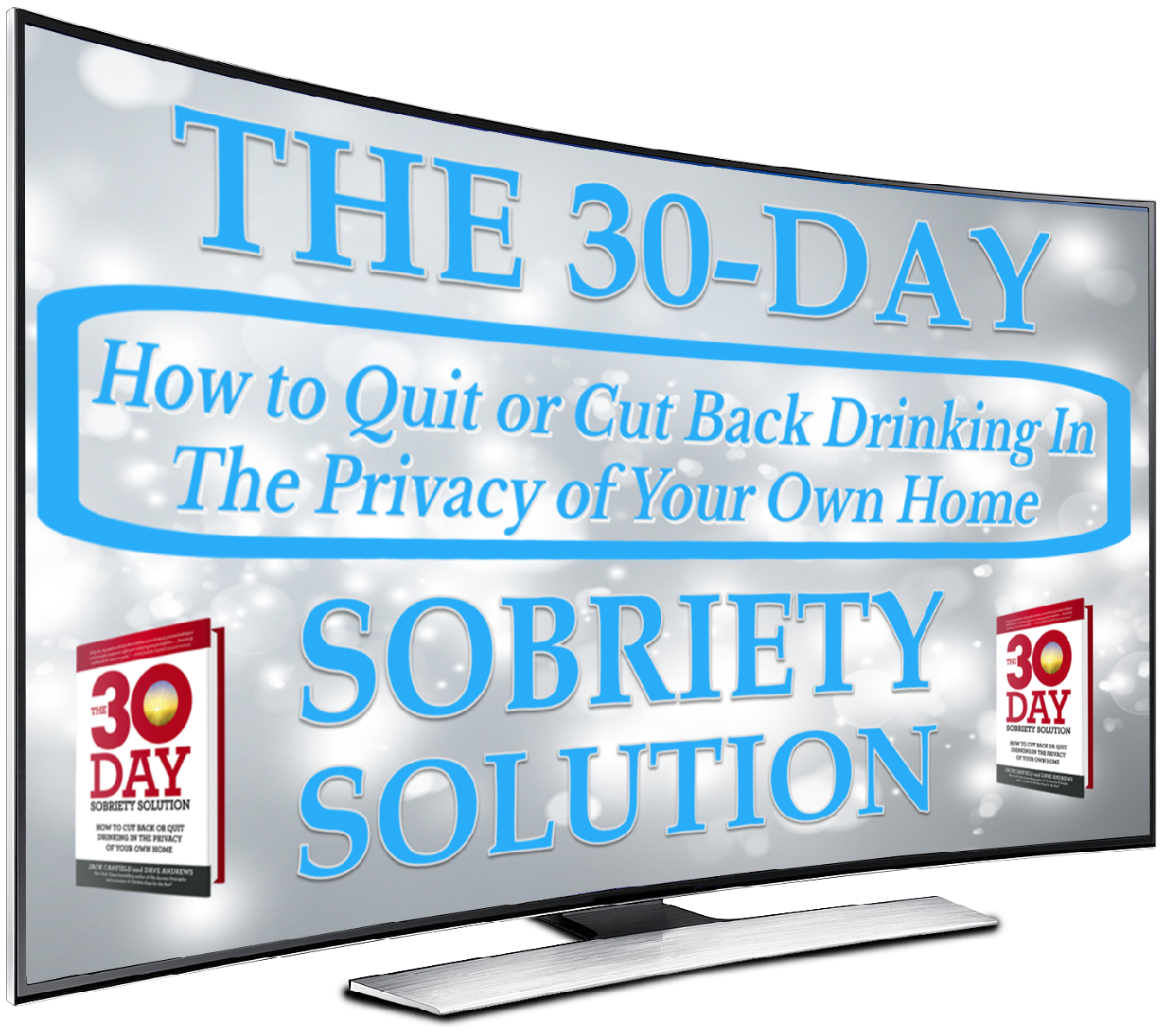 The 30 Day Sobriety Solution Companion Website And Book Resources