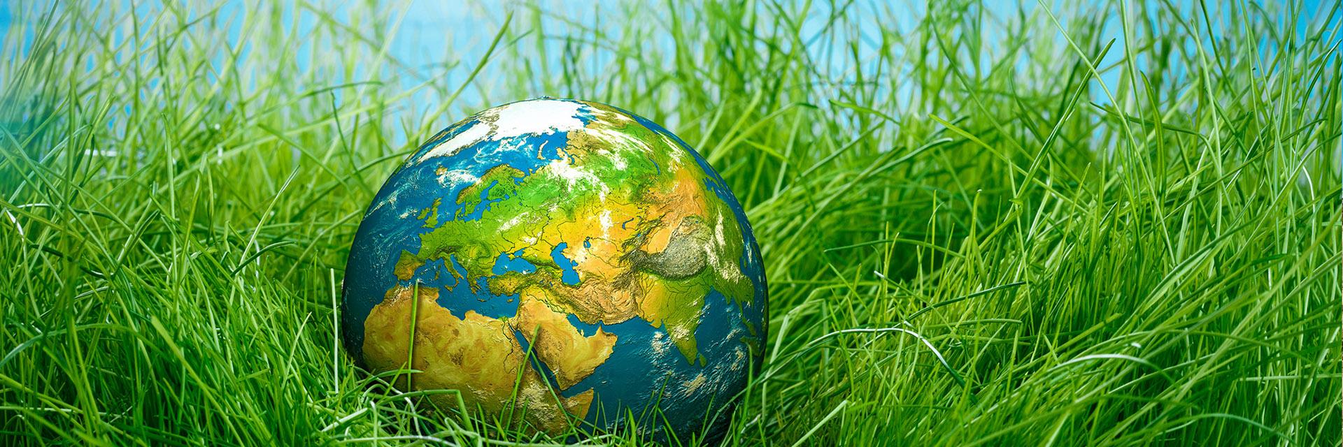 Recycling – How To Recycle At Home And Do Your Bit For Earth