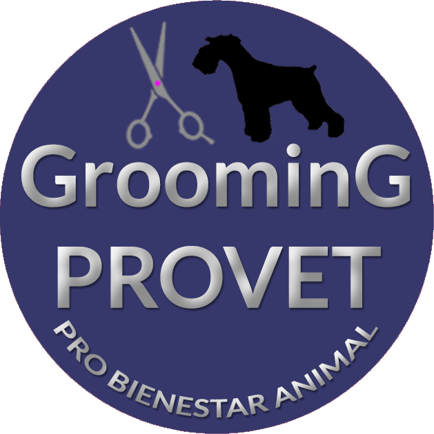 Welcome [grooming.cl]